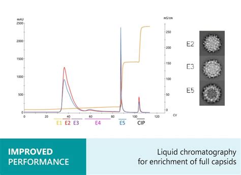 Bia Separations Inc On Linkedin Separation Purification Aav Chromatography Monolith