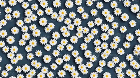 Classical Style Painting White Paris Daisy Flower Tile Seamless