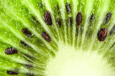 Premium Photo Kiwi Texture Background