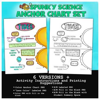 Tide Chart Teaching Resources TPT