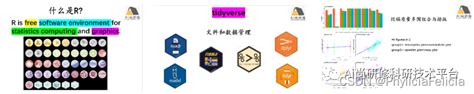 基于R语言lavaan结构方程模型SEM技术应用 CSDN博客