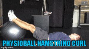 Physioball Hamstring Curl RunLab Physical Therapy Physioball Hamstring Curl RunLab Physical Therapy