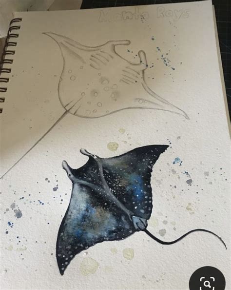 Stingray Drawing Color Mantaray Drawing Watercolours Watercolor Art