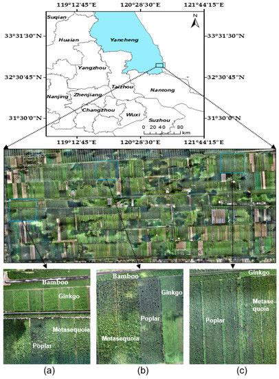 Deep Learning And Transformers Methods Applied To Remotely Captured Data