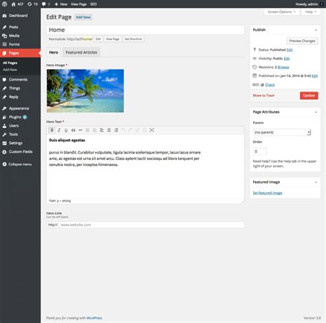 Elementor Or Advanced Custom Fields For Your Professional Wordpress
