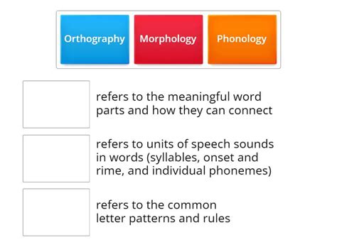 Triple Word Form Theory Match Up
