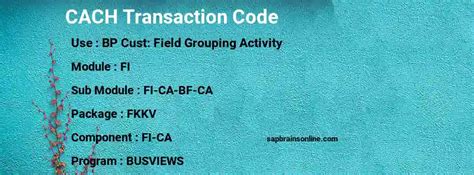 CACH SAP Tcode For BP Cust Field Grouping Activity