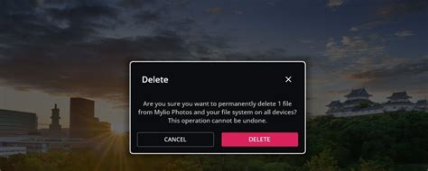 Permanently Delete Files Mylio Photos Version 24 3