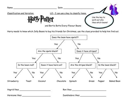 Harry Potter Classification Key Teaching Resources Harry Potter