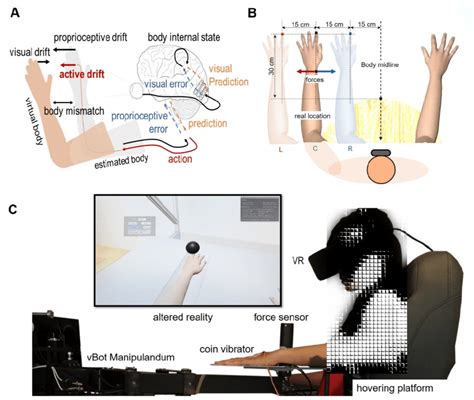Predictive Brain Approach And Experimental Setup A Schematic Of The