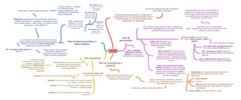 I Test Coggle Diagram