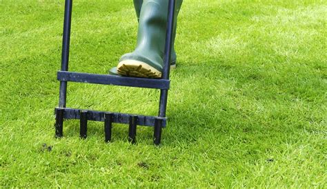 Growing Drought Resistant Grass Gilmour