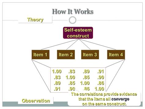 15convergent And Discriminant Validity Youtube