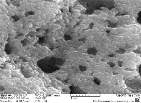 Sem Image Of Bismuth Ferrite Nanoparticles Download Scientific Diagram