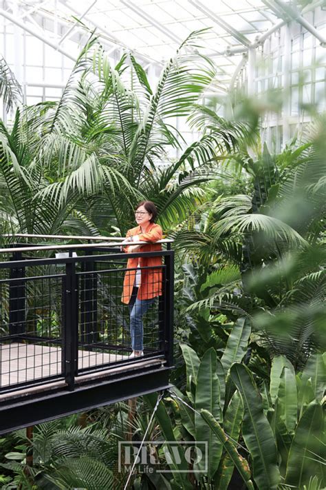 식물과 세상 잇는 녹색 우주 속 식물학자 브라보 마이 라이프