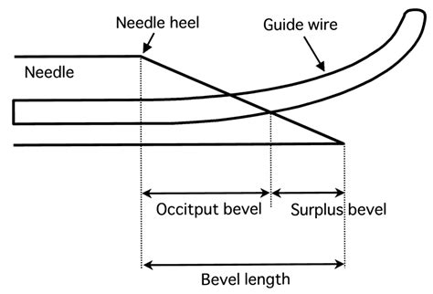 Diagram Of Bevel Length Surplus Bevel And Occiput Bevel Measurements Download Scientific Diagram