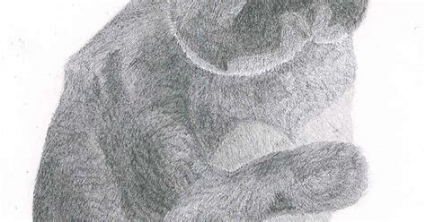 So Heres Some Of My Sketch Book That Im Particularly Proud Of P