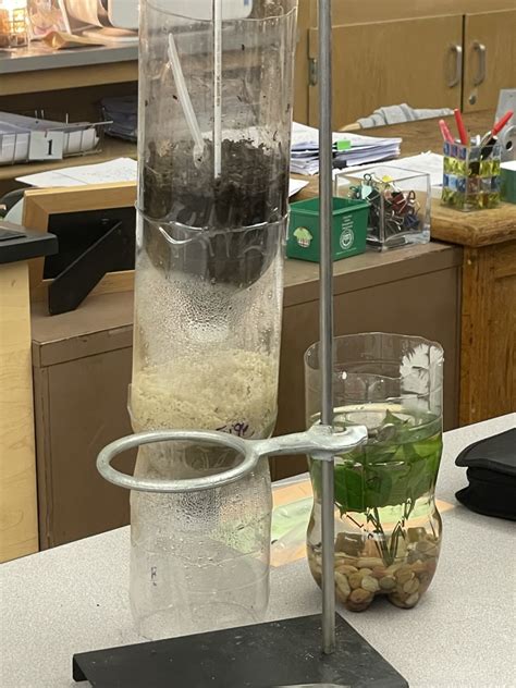 Exploring Eco Columns Torrance News Torch