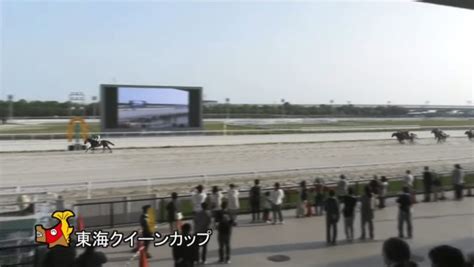 【名古屋競馬】コパノリッキー産駒『セブンカラーズ』が強すぎると話題に ウマ娘うまぴょい速報｜ウマ娘のまとめサイト