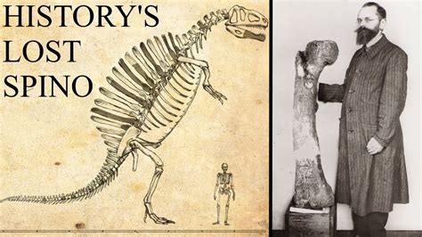 How Many Spinosaurus Skeletons Have Been Found