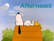 Naptime S Tenor