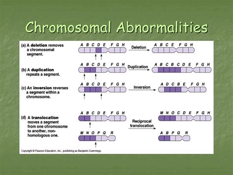 Sex Chromosome Abnormalities