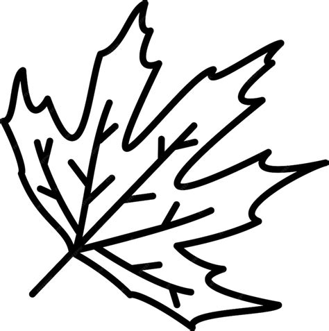 Premium Vector Leaf Outline Vector Illustration