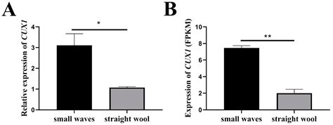 Association Between Dna Methylation In The Core Promoter Region Of The Cut Like Homeobox 1 Cux1