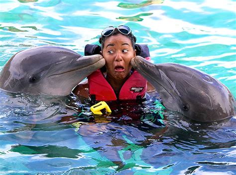 Dolphin Swim Dolphin Encounters Dolphin Encounters Dolphins Blue Lagoon