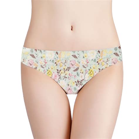 Iroinnid Hipster Underwear For Women At Hip Silky Low Waist Breathable Nylon Underpants Comfy