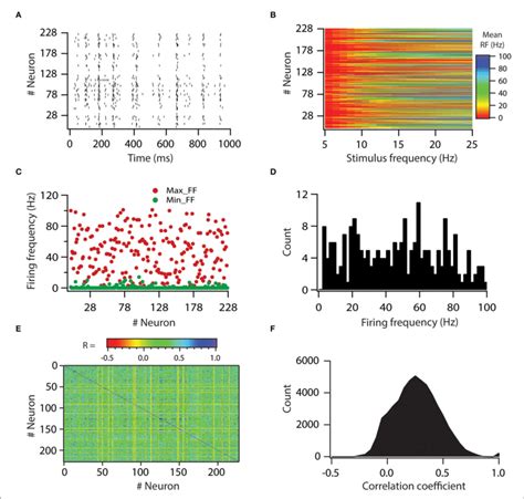 Variability In Expression Of Functional Maps Leads To Decorrelation