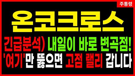 온코크로스 급등랠리 임박 시간외 상한가 그 의미와 내일 흐름 예상 루닛 셀바스ai 뷰노 의료ai 대장주 주통령