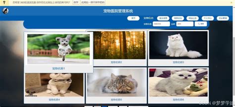 Java毕业设计ssm基于ssm的宠物医院管理系统的设计与实现vue包含文档代码讲解 Csdn博客