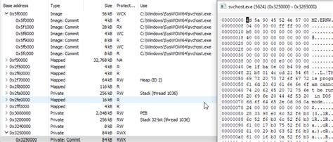 Some Experiments With Process Hollowing Insinuator Net