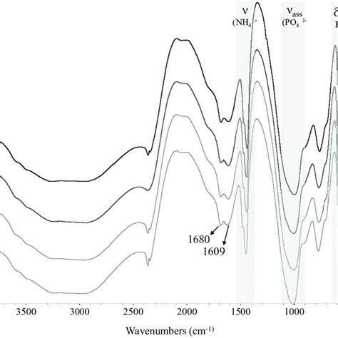 Pdf Xrd Rietveld Analysis As A Tool For Monitoring Struvite Analog
