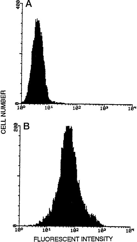 Ccr1 Cell Surface Expression Flow Cytometric Analysis Of Ccr1