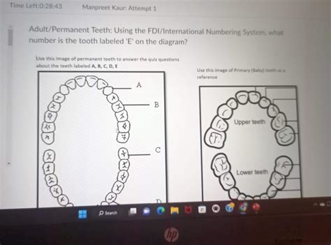 Adult Permanent Teeth Using The FDI International Chegg Com
