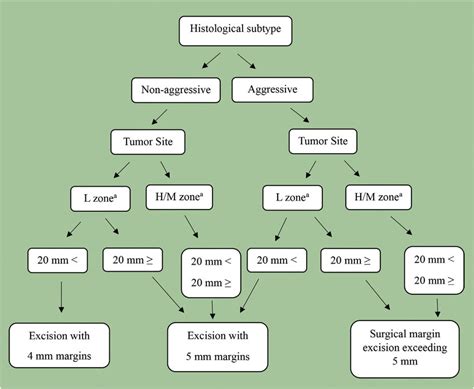 Algorithm For Optimal Surgical Margin Of Primary Basal Cell Carcinoma Download Scientific
