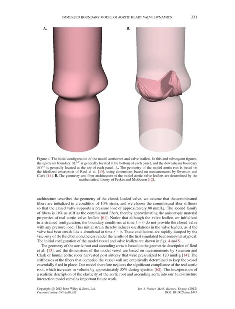 Immersed Boundary Model Of Aortic Heart Valve Dynamics With