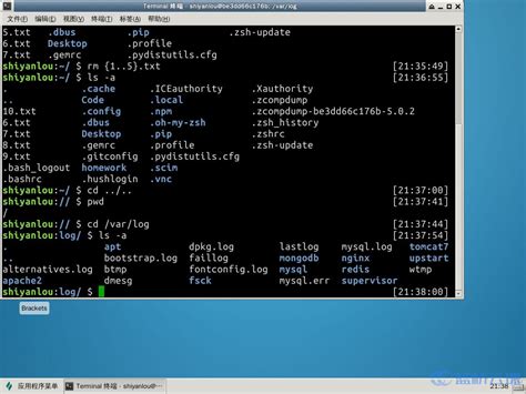 Linux 目录结构及文件基本操作 蓝桥云课