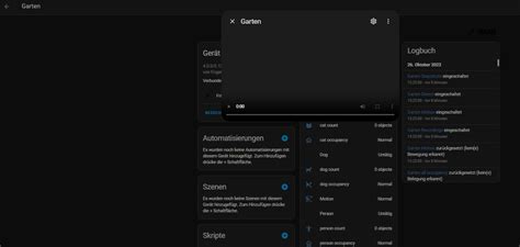 Support Not Able To Get Sound And Good Stream To Homeassistant · Issue 8330