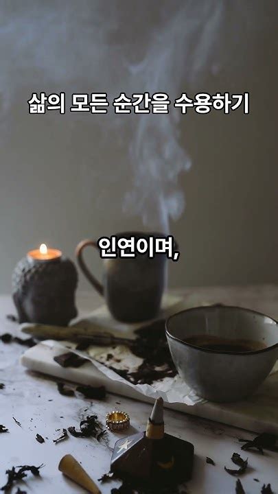 부처님말씀 삶의 모든 순간을 수용하기 명언 긍정의말 좋은글 긍정적마인드 인생조언 오디오북 자기수행 부처님말씀 Youtube