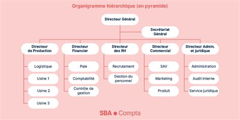 Organigrammes Dentreprise Types Utilité Et Création