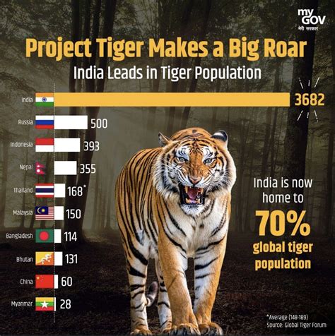 India Biodiversity Sustainability Environment Future Tigers