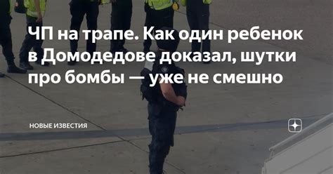 ЧП на трапе Как один ребенок в Домодедове доказал шутки про бомбы — уже не смешно НОВЫЕ
