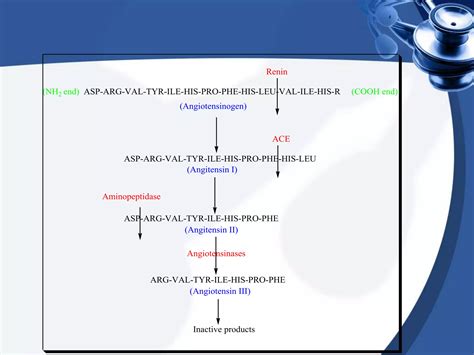 Antihypertensive Drugs Ppt
