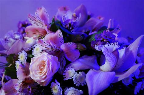 Обои большой букет букет цветов букет от Photomonstr картинки на рабочий стол и заставки