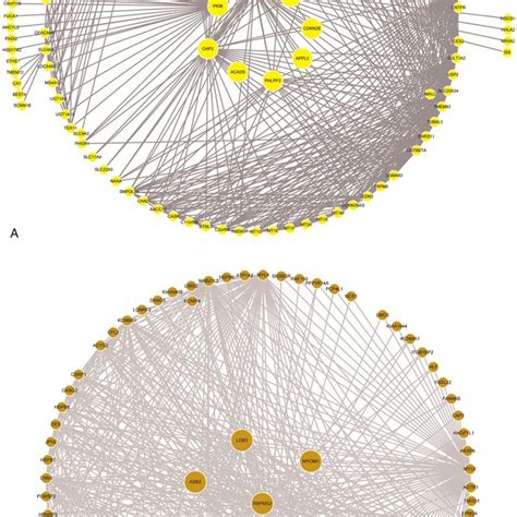 A Visualization Of Weighted Gene Co Expression Network Analysis