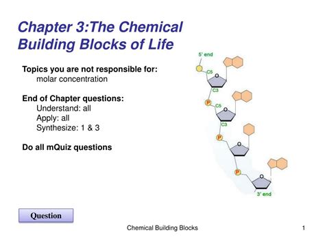 Ppt Chapter 3the Chemical Building Blocks Of Life Powerpoint Presentation Id5132573