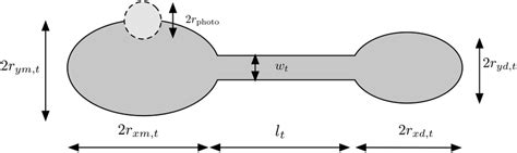 A Schematic Of The Idealisation Of A Dividing Yeast Nucleus Parameters